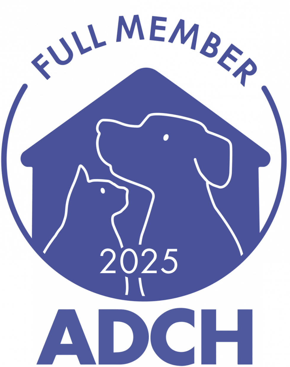 Kittens - The Sheffield Cats Shelter