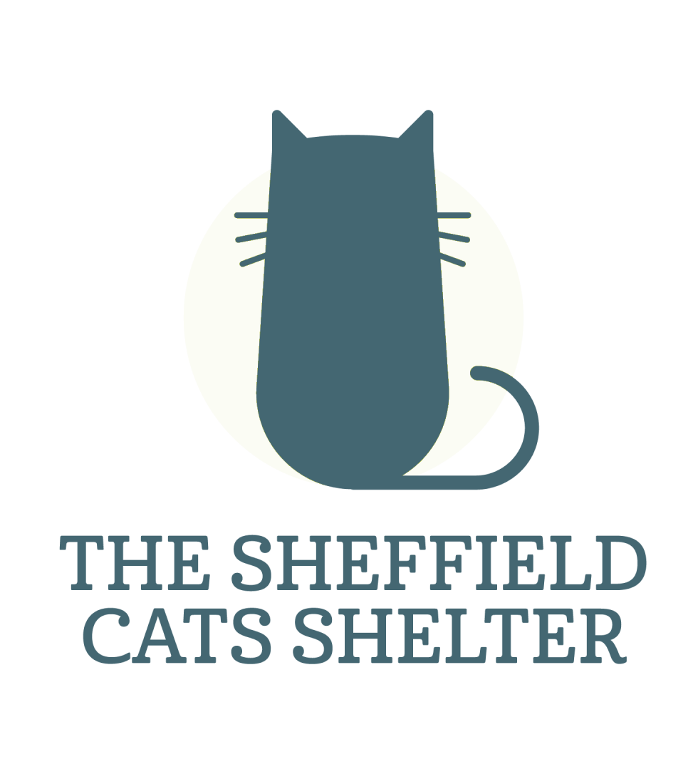 The History of Black Cats - The Sheffield Cats Shelter