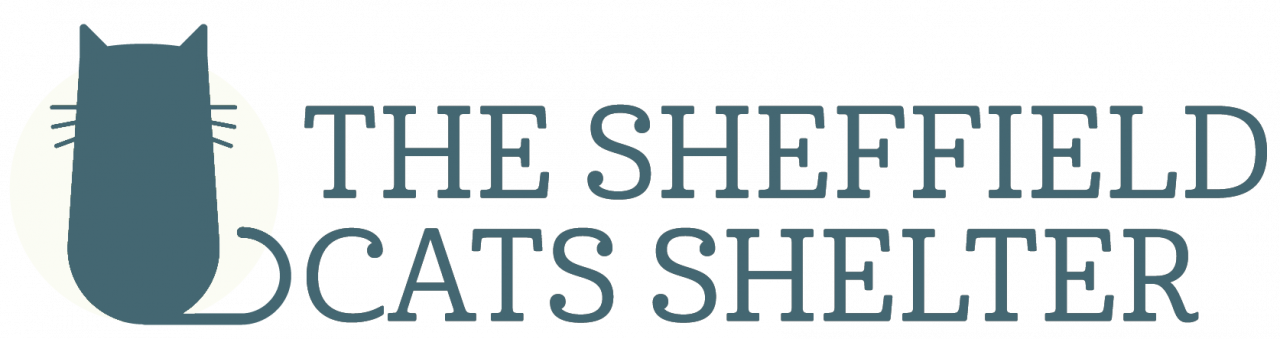 Cat Care Advice - Indoor Cats - The Sheffield Cats Shelter