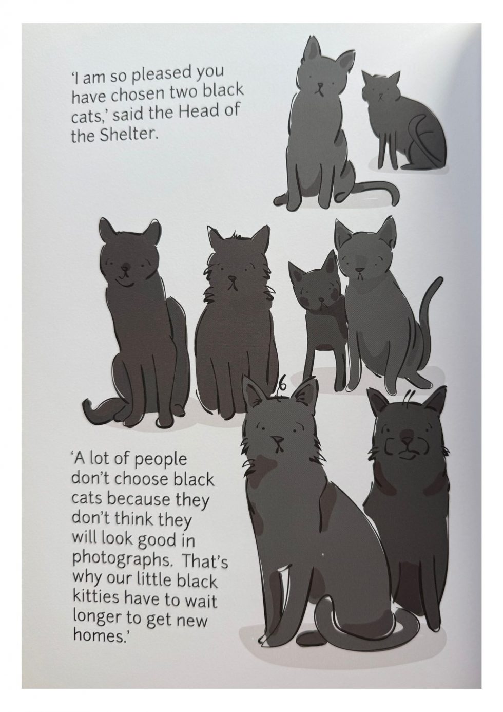 The History of Black Cats - The Sheffield Cats Shelter